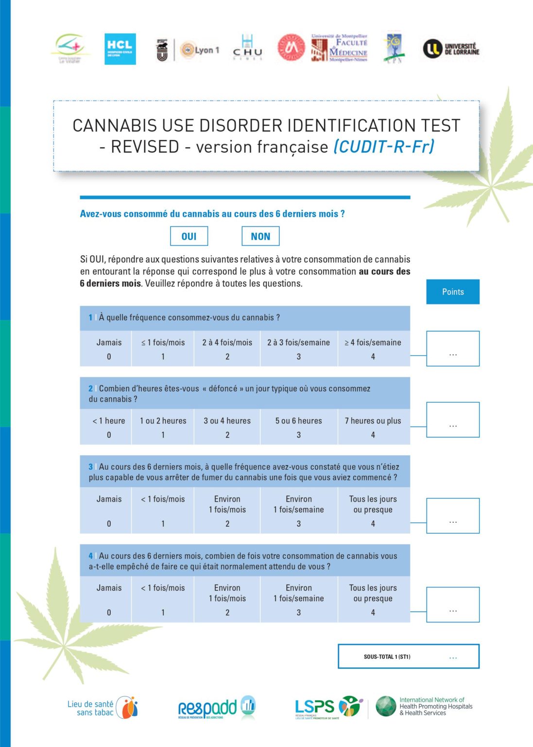 Questionnaire RESPADD – Cannabis Use Disorder Identification Test – RESPADD